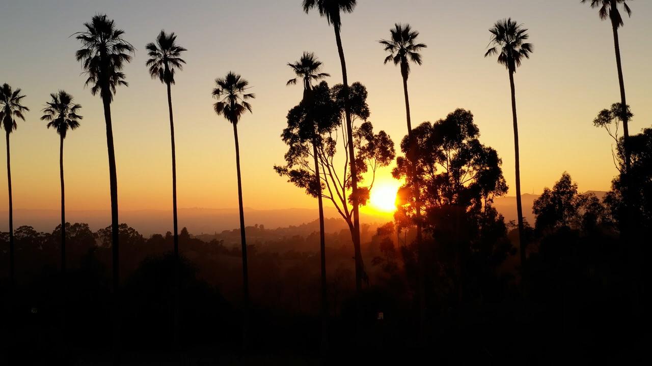 Top Foot & Ankle Surgeon | Apex Foot & Ankle Institute